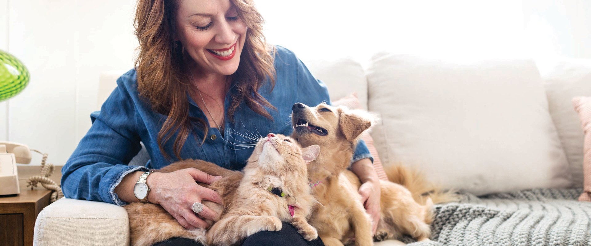 What types of activities are appropriate for different types of pets (e ...